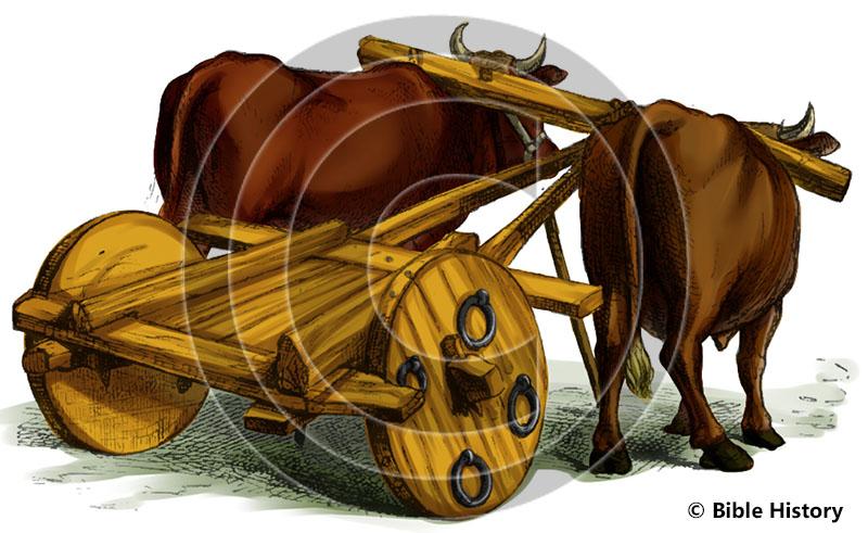 Oriental Ox Cart - Bible Illustration (72 DPI) 1-Year License - Bible ...