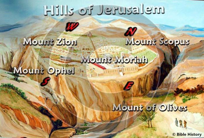 Jerusalem Hills - Color Map (72 DPI) 1-Year License - Bible Maps and Images