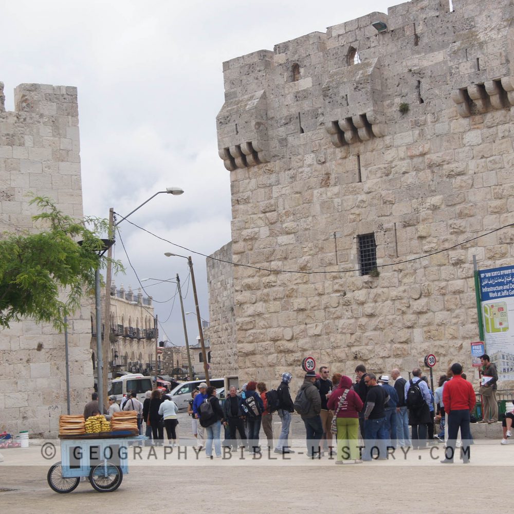Tenth Roman Legion Insignia - Color Photo (72 DPI) 1-Year License ...